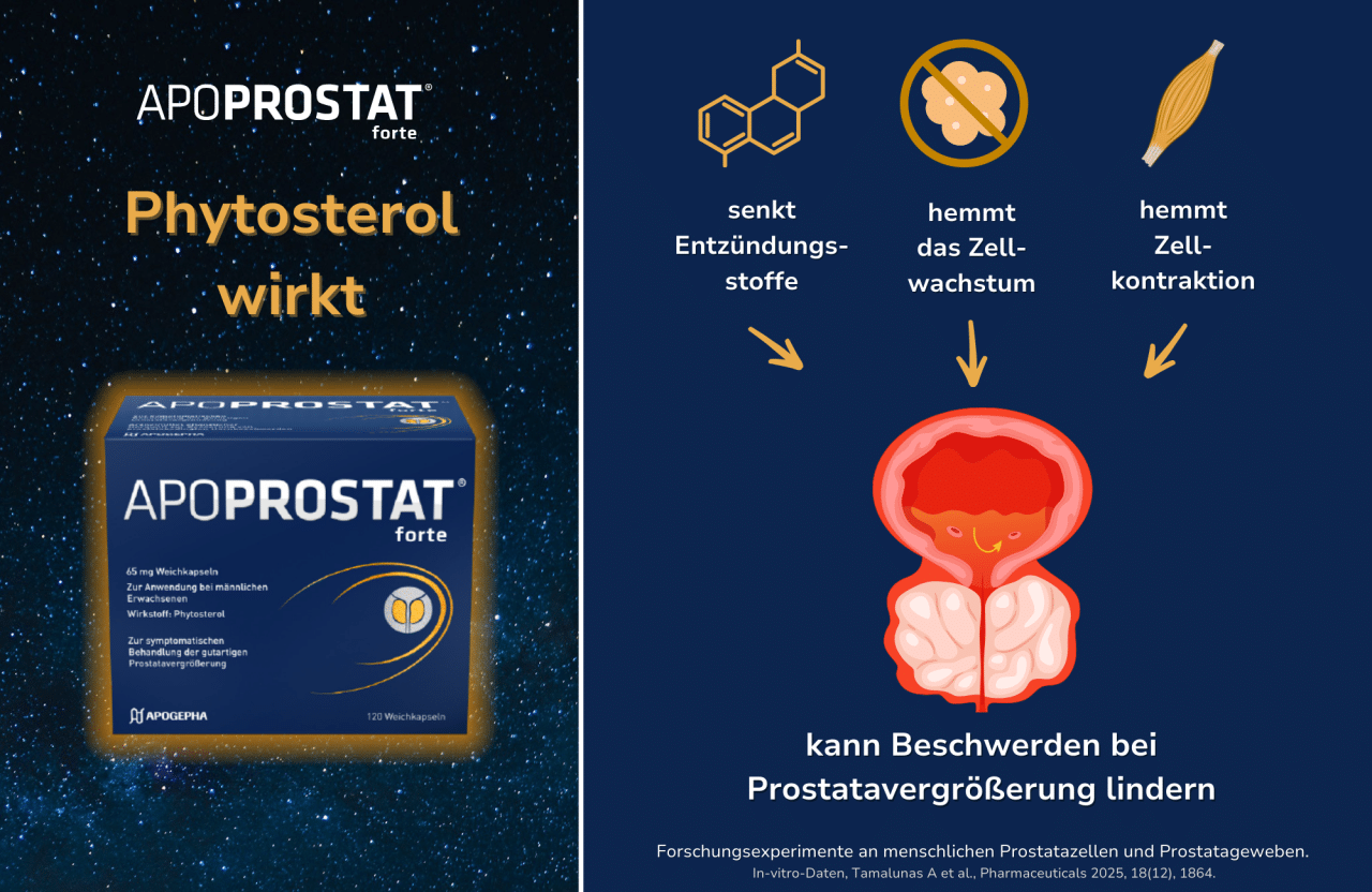 Phytosterol: Wirkung auf die Prostata | APOPROSTAT® forte